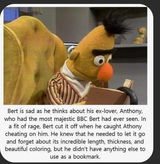Bert - 9GAG