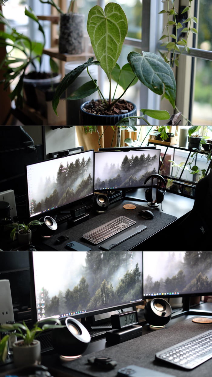 Not really into RGB 😅 Plant uncle here - 9GAG