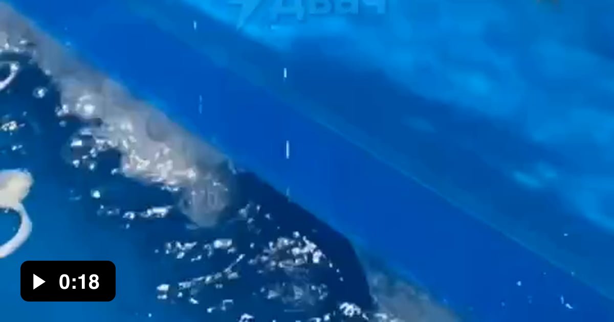 Wednesday pool dudes - 9GAG