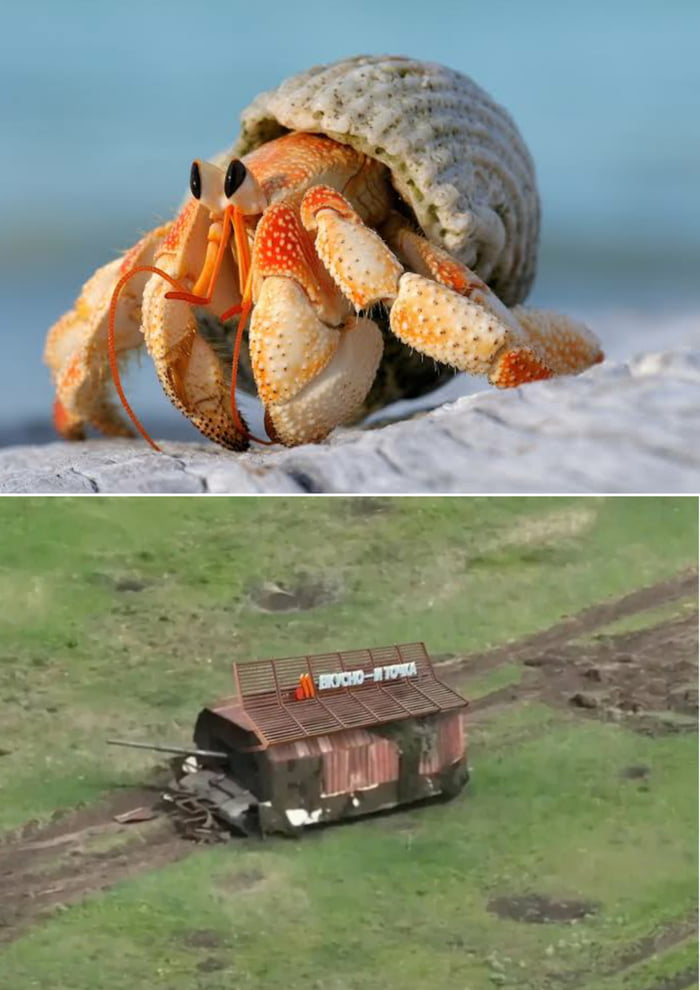 Spot the differences. - 9GAG