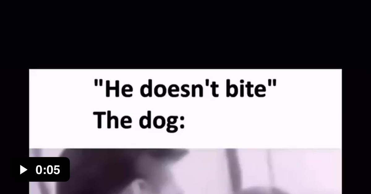 He doesn't bite - 9GAG