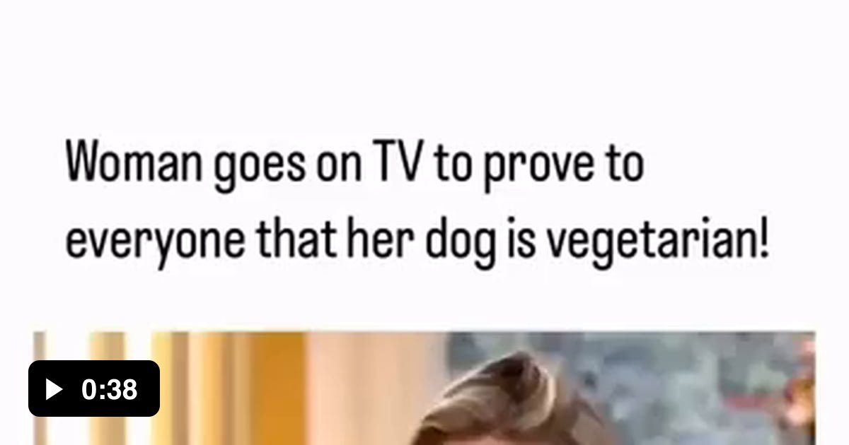 Vegetarian dogs - 9GAG