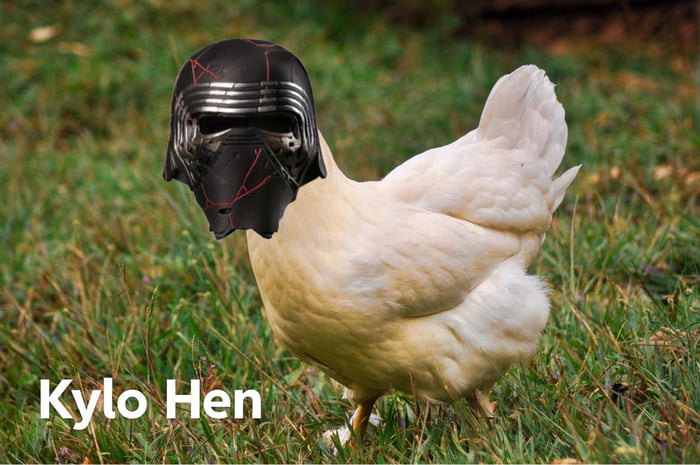 Kylo Hen - 9GAG