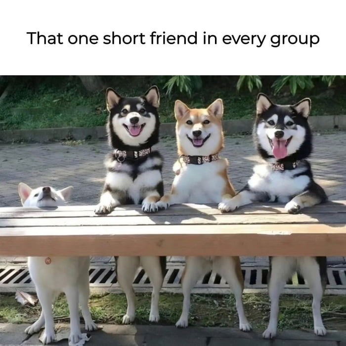 Go shorty, it’s your bday - 9GAG