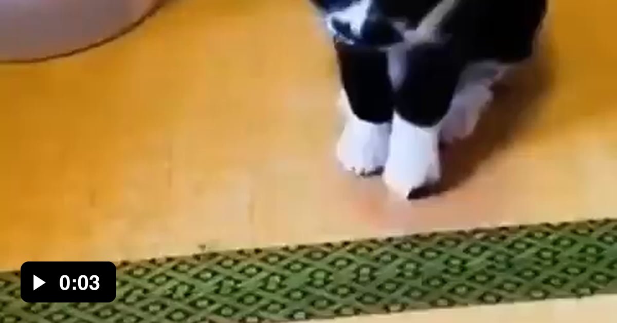 Failed basic training - 9GAG