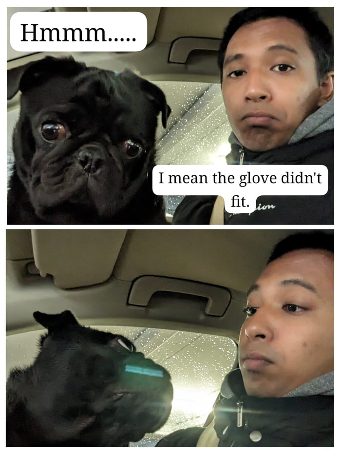 Ancient wisdom... (New format) - 9GAG