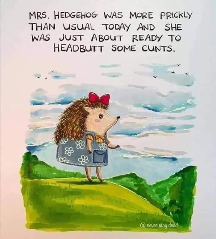 Mrs Hedgehog is having one of those days - 9GAG