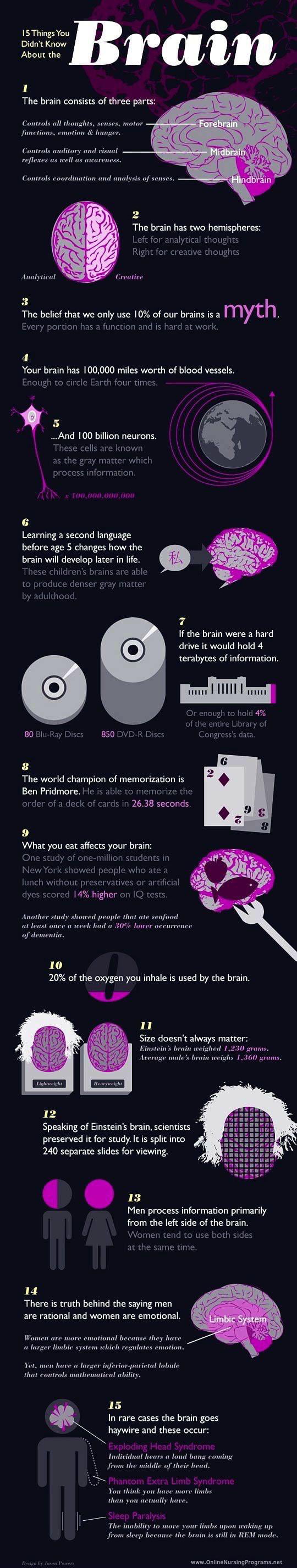 A cool guide to strange but true facts about the human brain - 9GAG