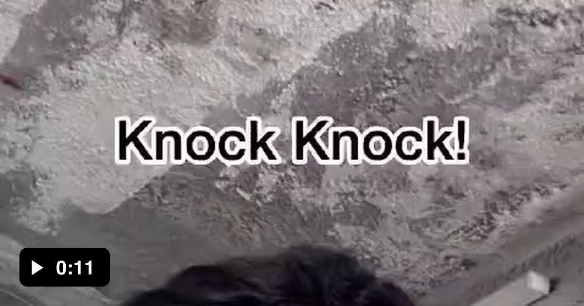 Knock Knock Yes Who? - 9GAG