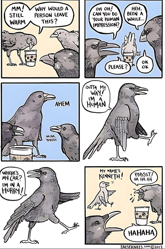 I'm not a crow, you're the crow - 9GAG