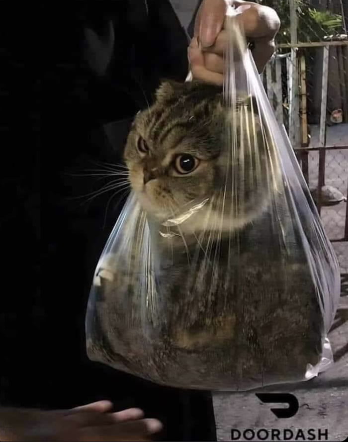 Doordash Ohio - 9GAG