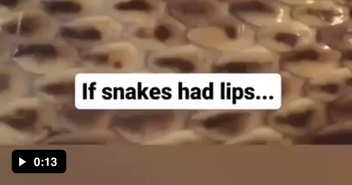 If danger noodles had lips - 9GAG