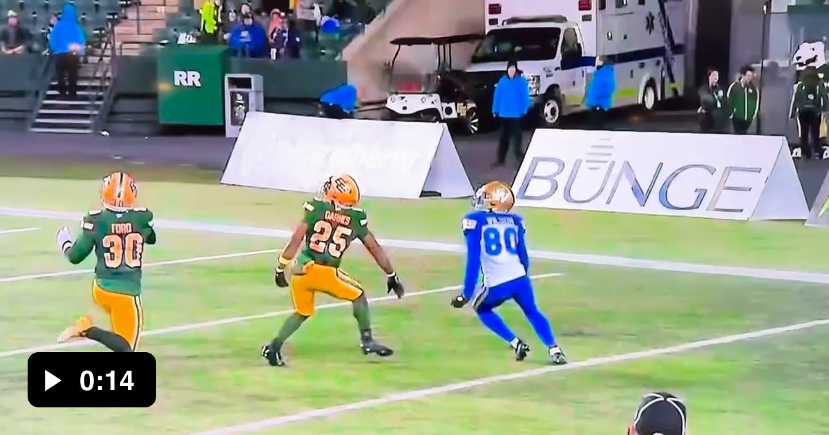 This is how you make a touchdown, incredible catch - 9GAG