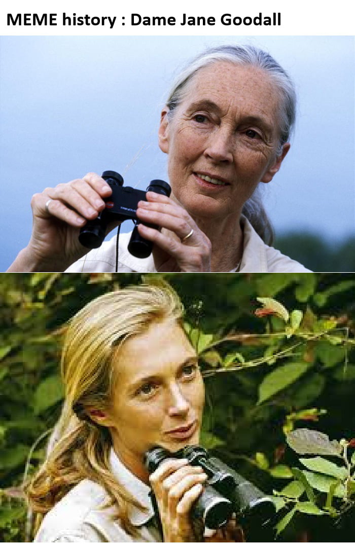 Oh wow. Didn't knew there were the same person. Respect - 9GAG