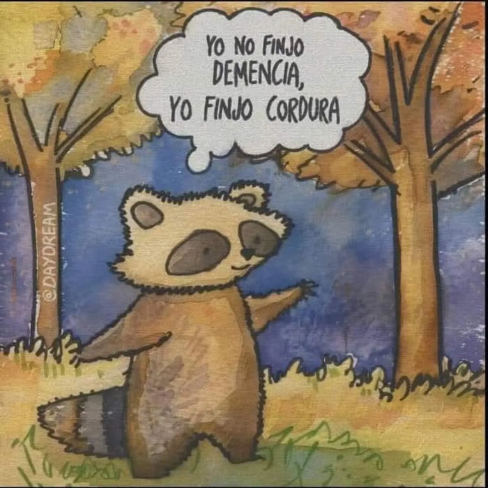 Ya nos exhibiste mapachito - 9GAG