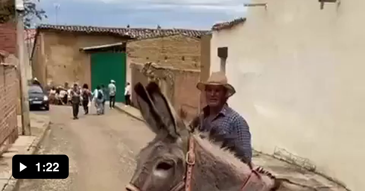 Donkey finds soulmate in a mural - 9GAG