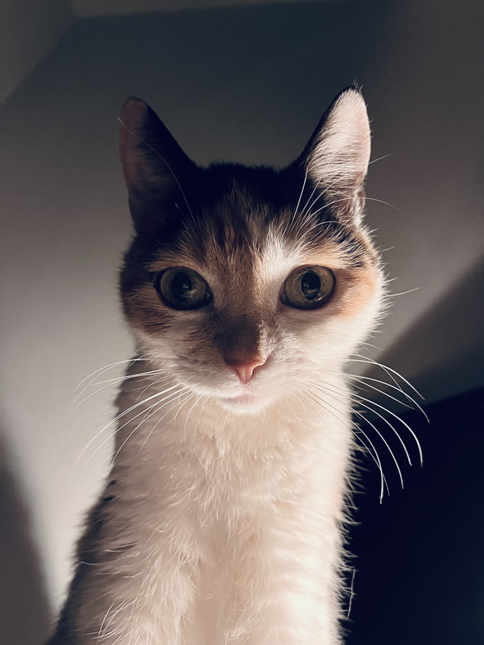 Rows affected: 982635 - 9GAG