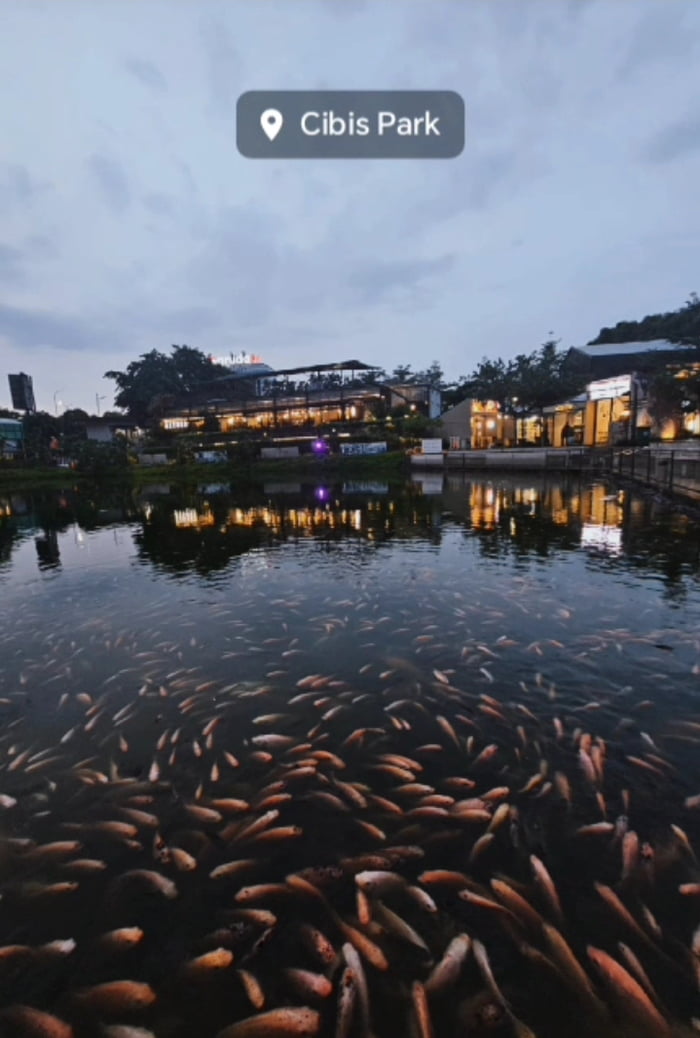 Cibi cibi y'buddhhaaaa - 9GAG