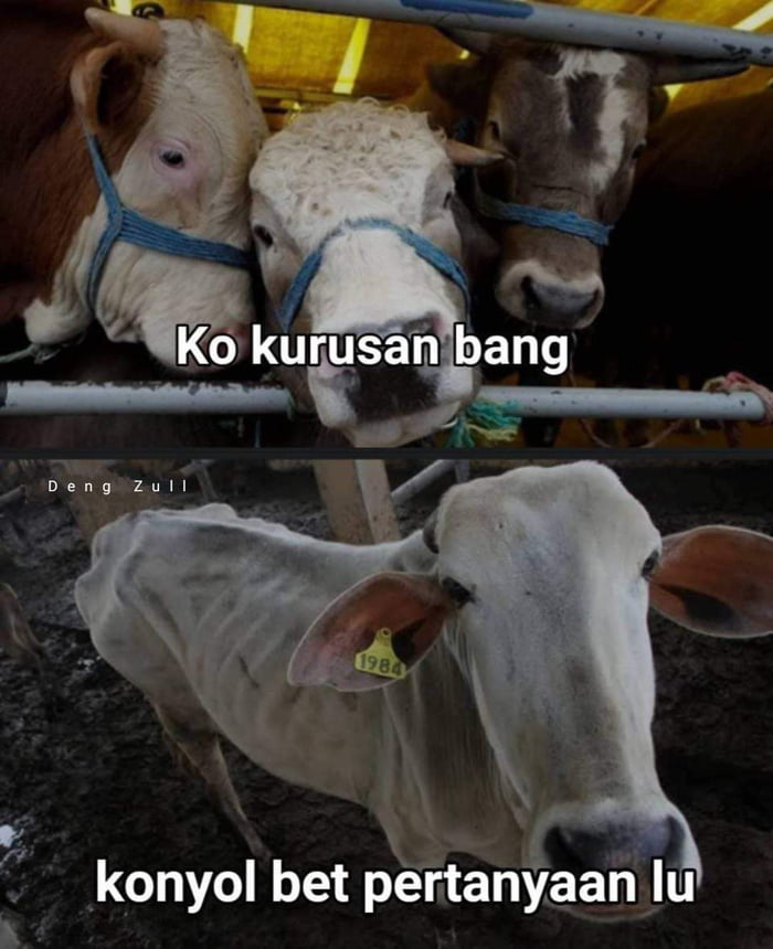 Pake nanya - 9GAG