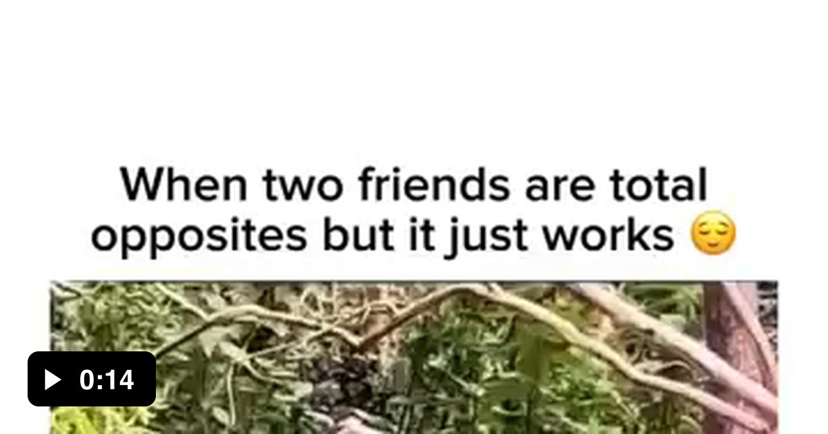 Dude...act natural - 9GAG