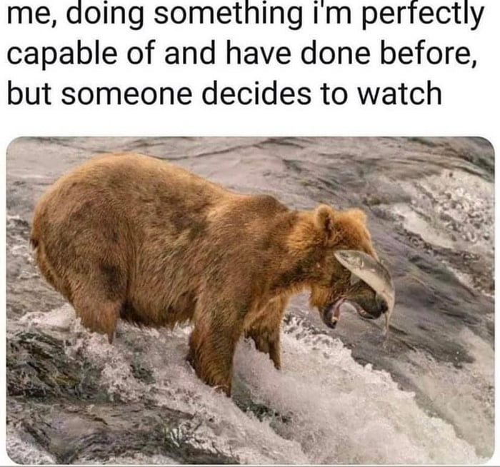 Bear trying to catch a fish while someone is watching - 9GAG