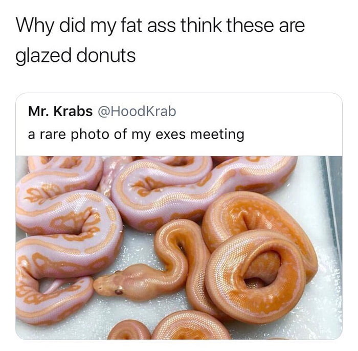 Mmm... donuts - 9GAG