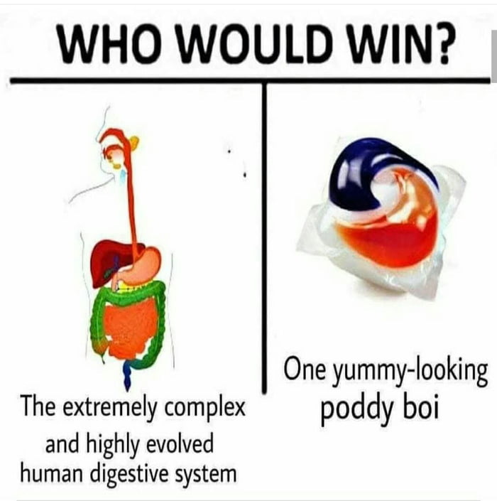 They look delicious indeed.. - 9GAG