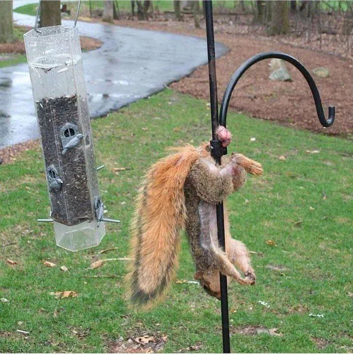 Mark Rober's obstacle course is getting rough - 9GAG