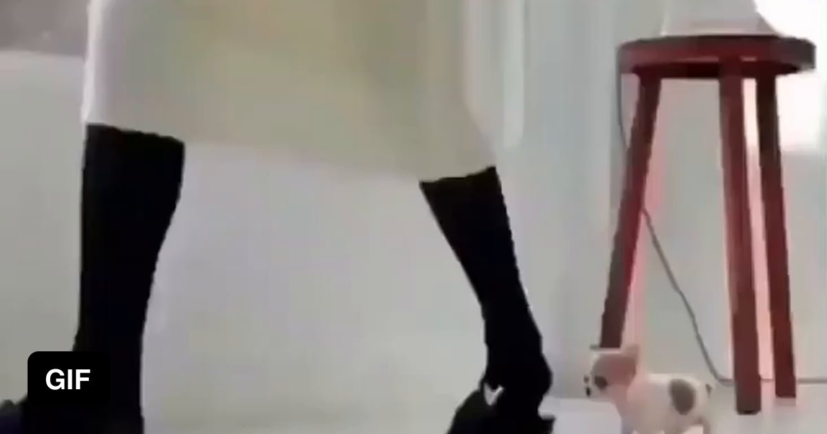 Tiny tippy taps - 9GAG