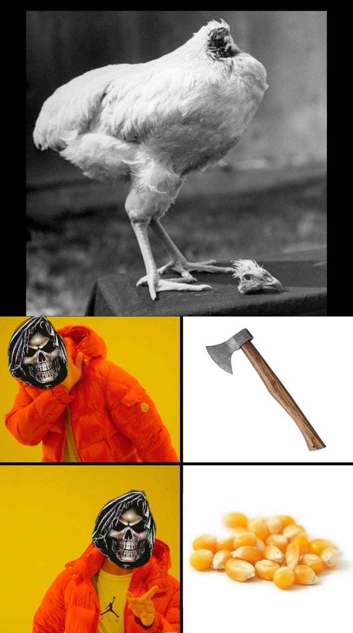 Mike the Headless Chicken lived for 18 months after his head had been ...