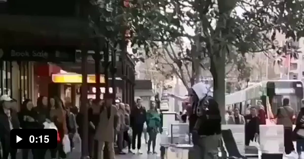 Pigeon vibing to street artist's music - 9GAG