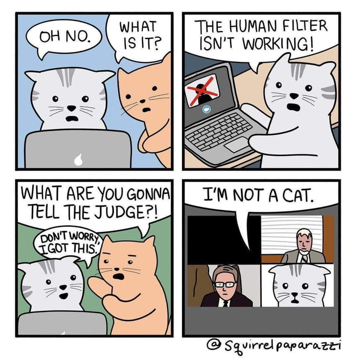 I'm not a cat - 9GAG