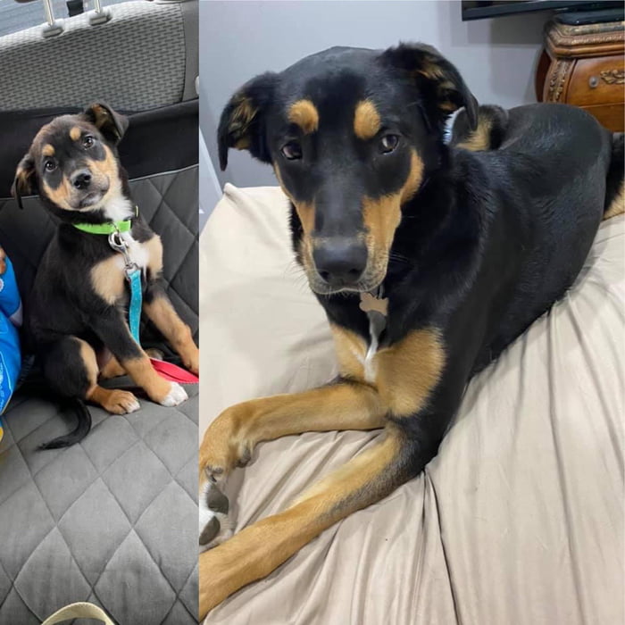 From 17 pounds to 70 pounds in 16 months - 9GAG