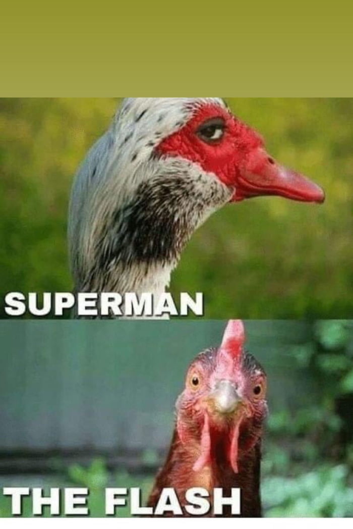 Superman vs Flash - 9GAG