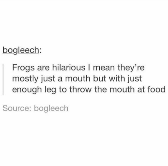 Frogs be like - 9GAG