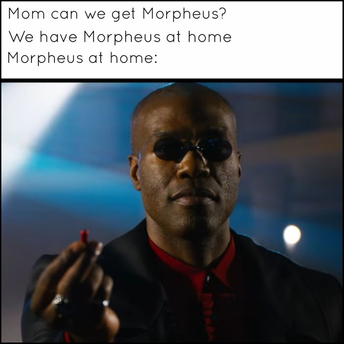 When you order Morpheus from Wish - 9GAG