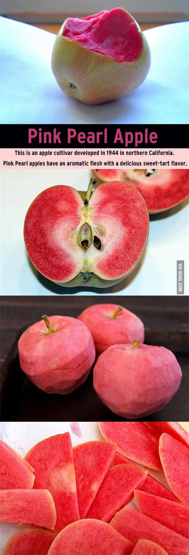 Pink Pearl Apple - 9GAG