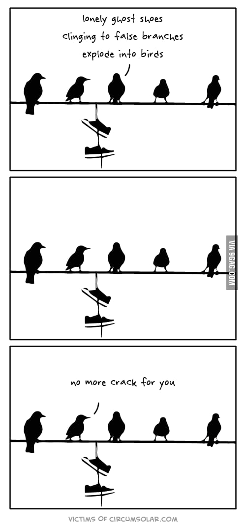 Explode into Birds - 9GAG