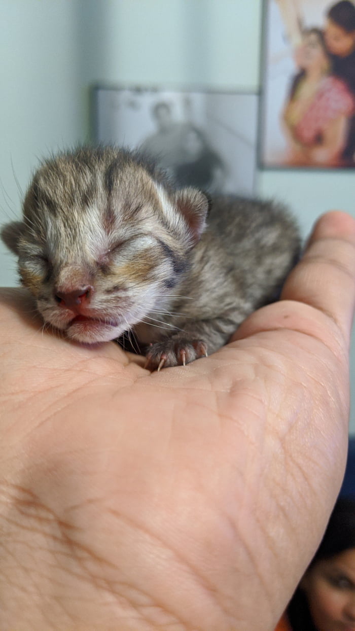Sooooo small - 9GAG