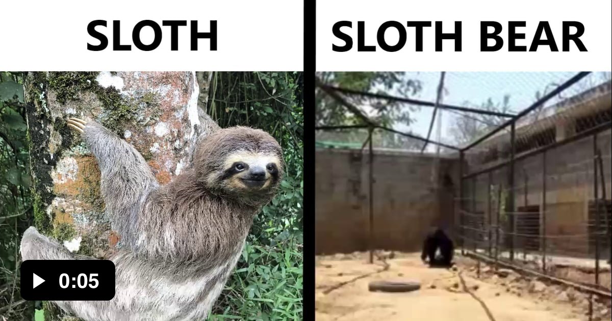 Damn nature, you scary - 9GAG