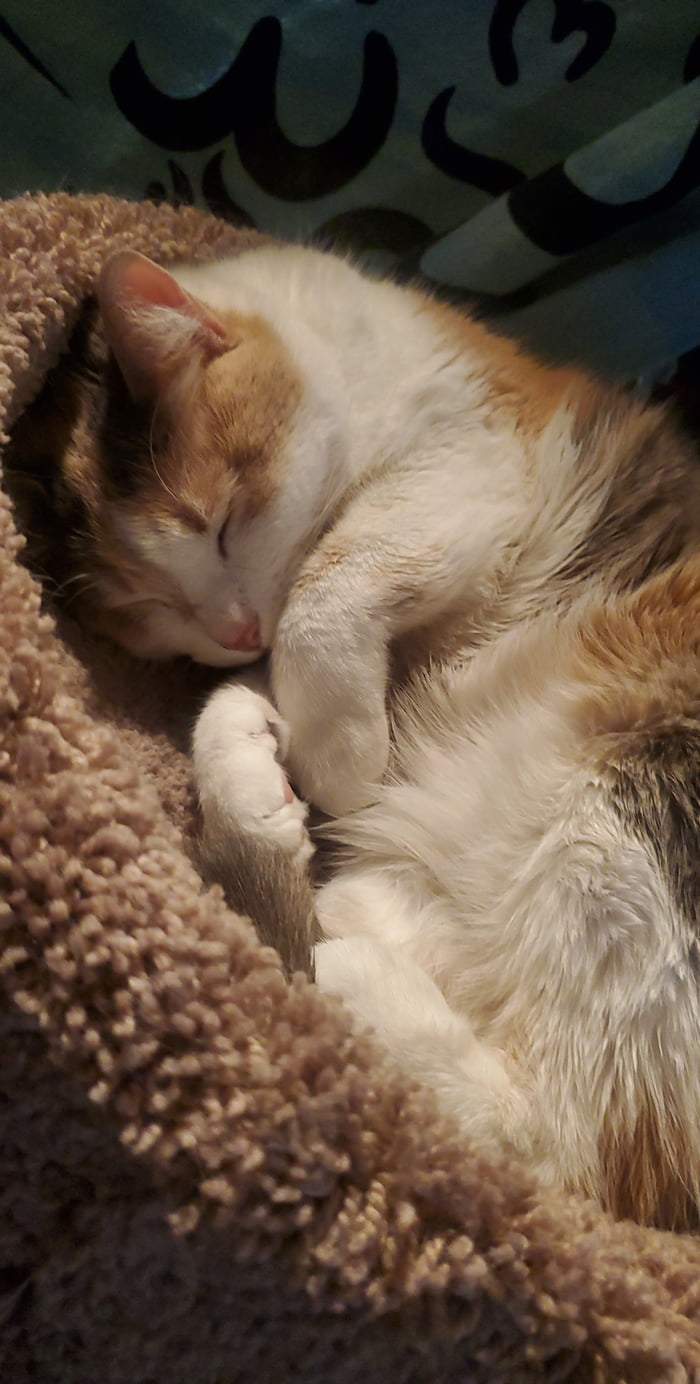 The baby squish. - 9GAG