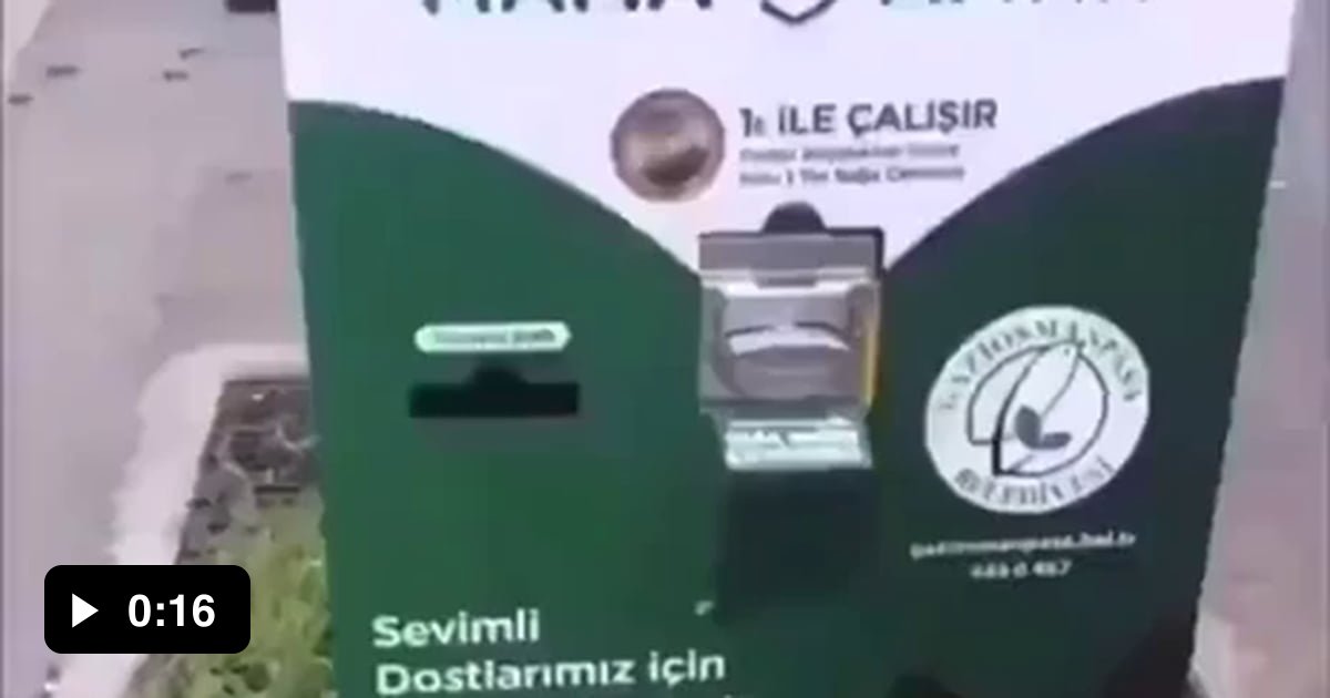 Vending machines in turkey provide food for stray cats and dogs - 9GAG