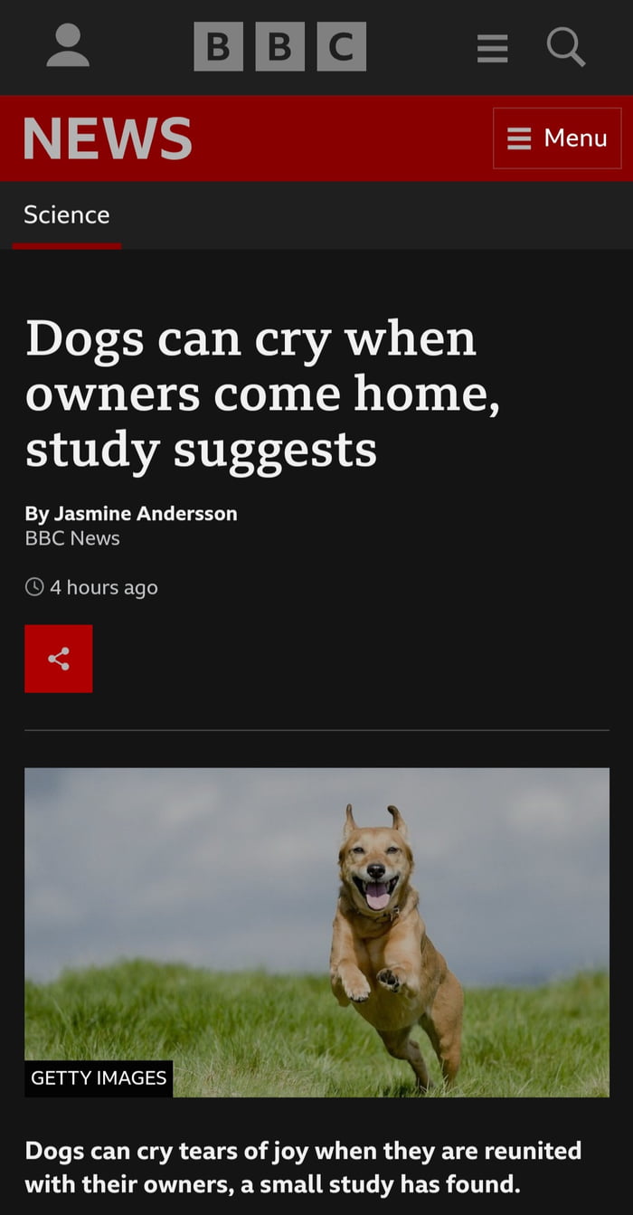 Dammit now I can't step out of the house - 9GAG