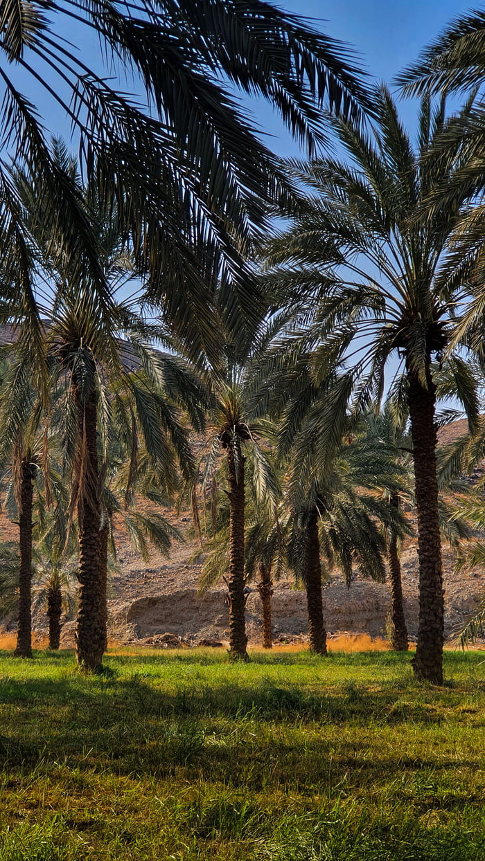 Wadi Alberza, Saudi Arabia Nice valley located near Jeddah - 9GAG