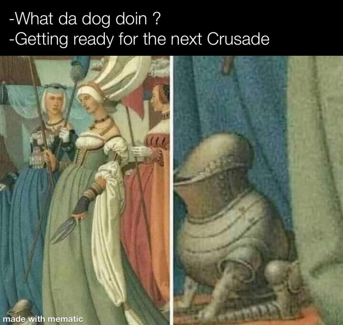 Dog: *reach max level* - 9GAG