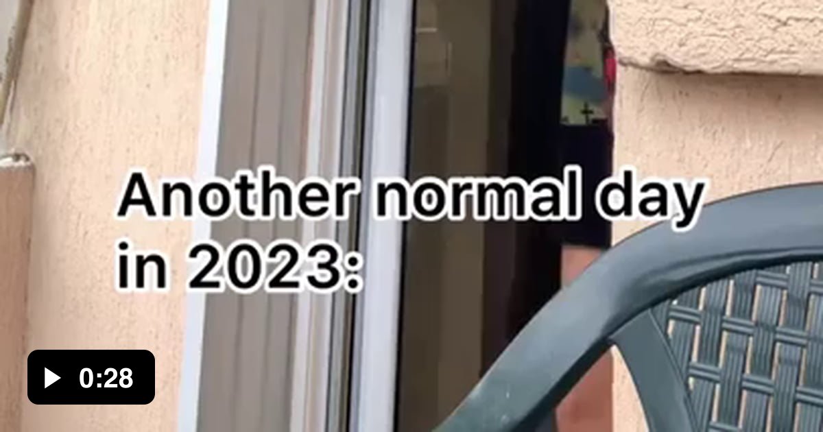 Another Normal Day In 2023 9GAG