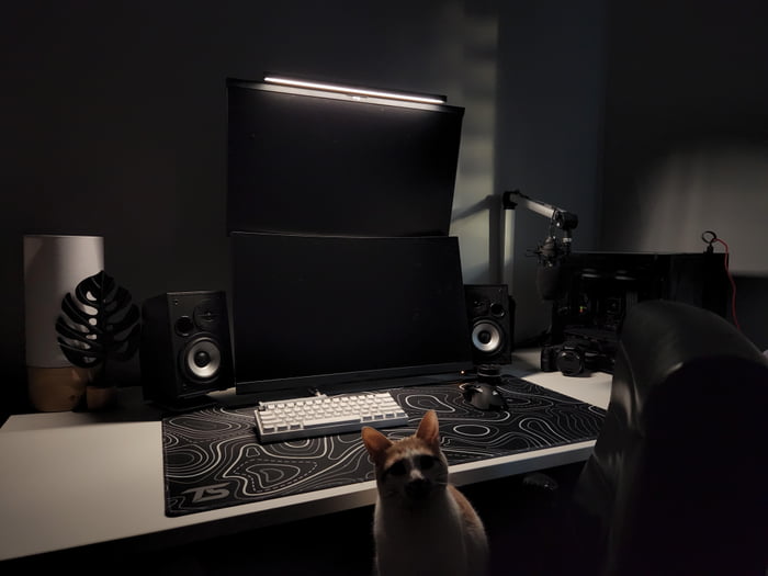Casual minimalistic monochrome setup, the cat rules the station. - 9GAG