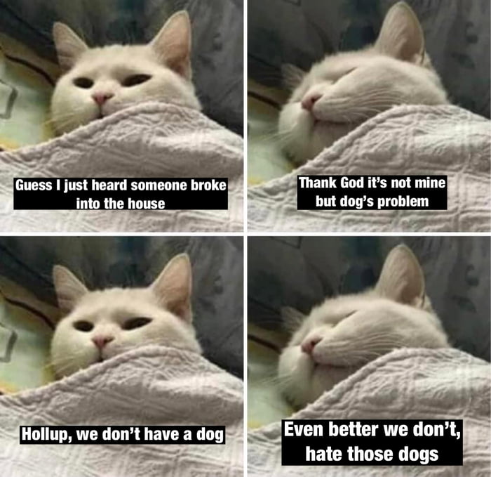 He got the situation under control - 9GAG