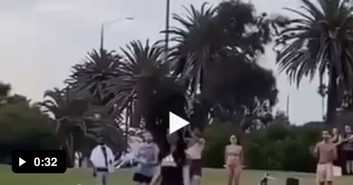 This, is, STRAYA! - 9GAG