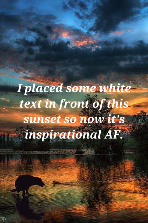 Just thought you may need a mid-week pick-me-up. - 9GAG